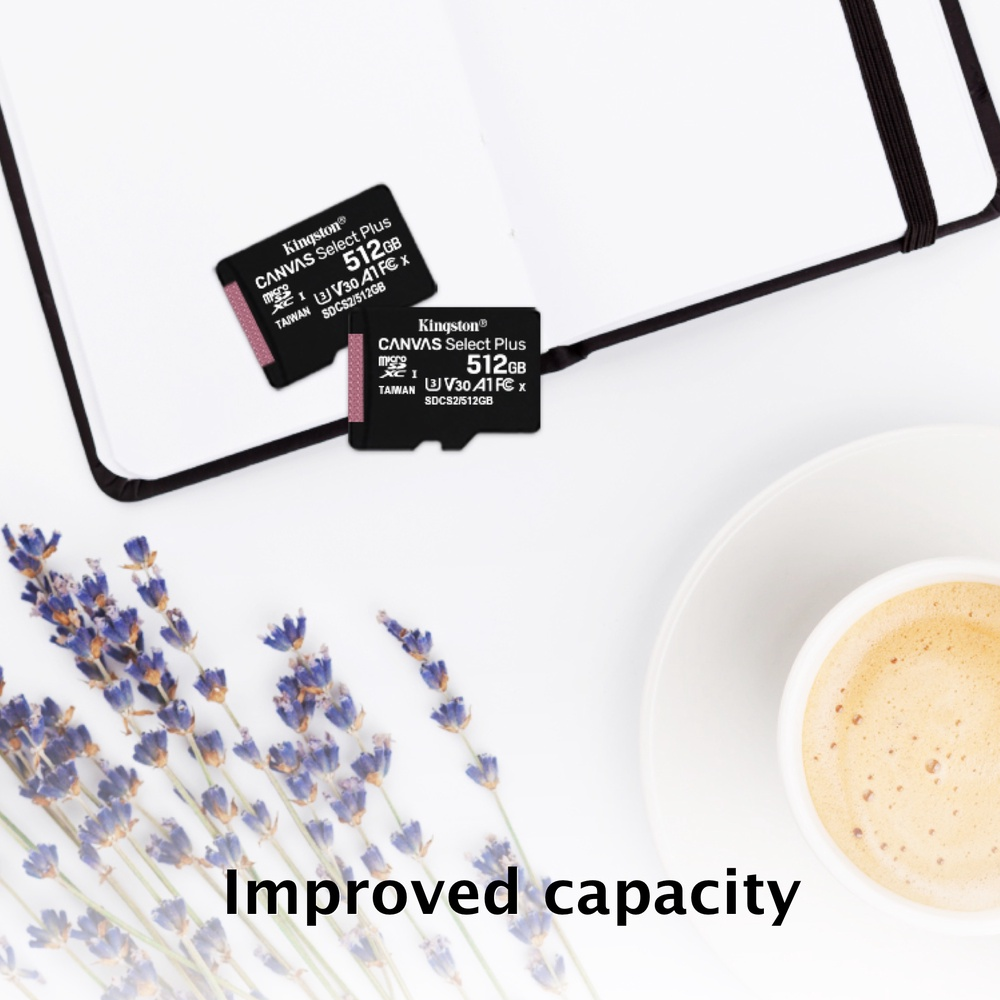 Kingston Micro SD Card Memory Card 100MB/s Canvas Select Plus Class 10 UHS-I Card SDCS2 (256GB ...