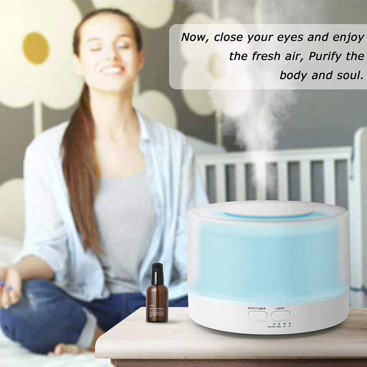 Bluetooth Speaker Aromatherapy Air Diffuser 500ml Essential Oil ...