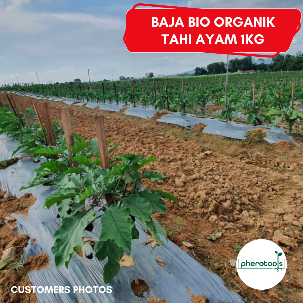 BAJA ORGANIK 1KG Baja Tahi Ayam Pellet Organik Proses Organic Fertilizer 100% Subur gardening ...
