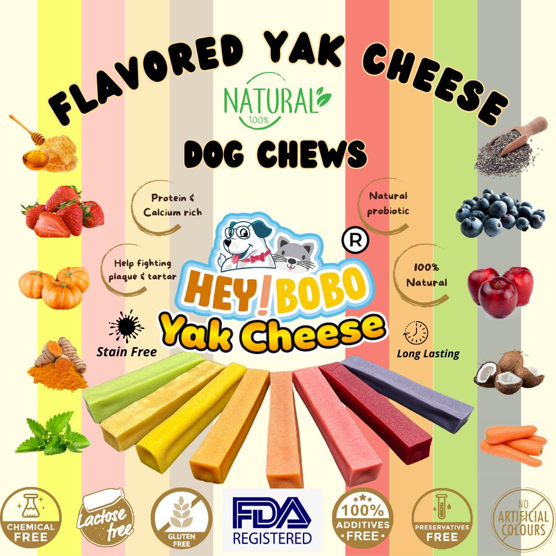 [HEY!BOBO] 🔥BEST SELLER🔥 Himalayan Yak Cheese Dog Chew Natural Dental Hard Treat Import Nepal ...