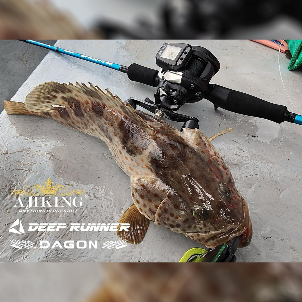 Ajiking Dagon Light Jig Spinning Casting Fuji Top Guide Fishing Rod (6 ...