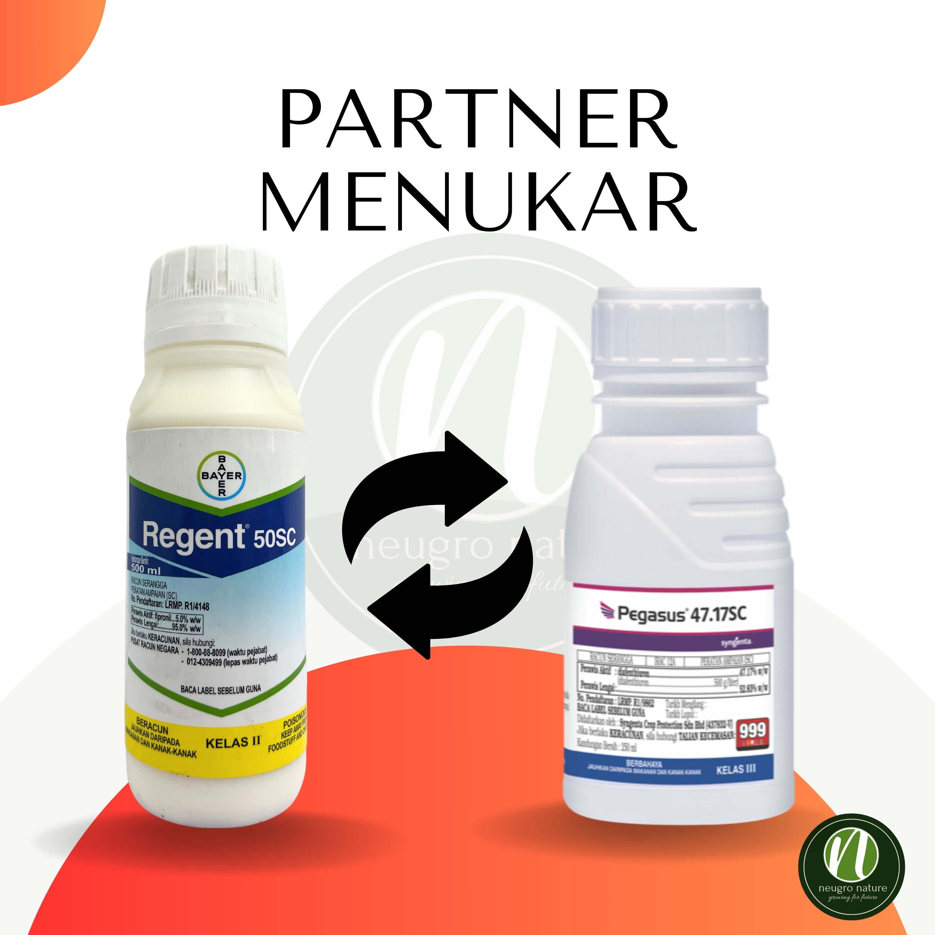 Bayer REGENT 50SC Fiponil 5% Insecticide For Thrips/Plutella Racun ...
