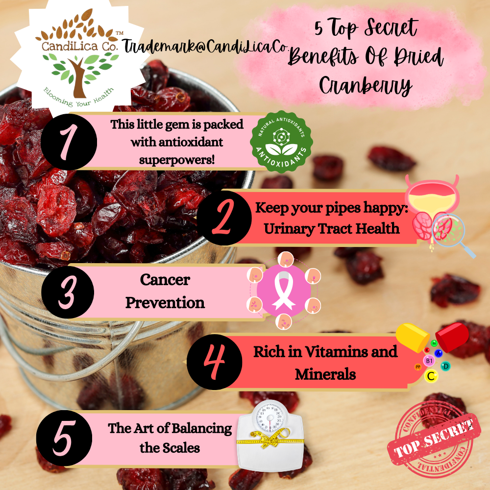 Dried Cranberry Halves | Kranberi Kering Separuh | 蔓越莓干切半 – CandiLica ...