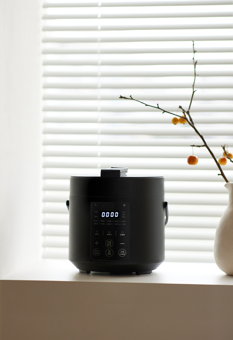 Olayks 2L Electric Pressure Cooker Dual Pots Rice Cooker 2 Pots Soup Cooker Porridge ...