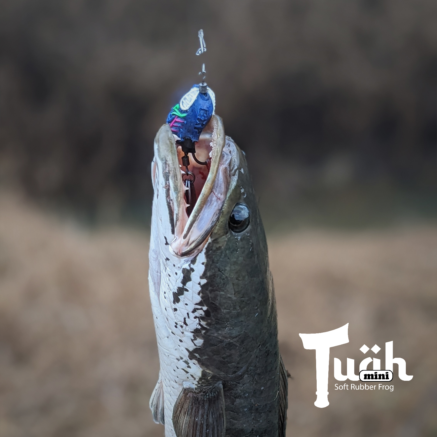 EXP MINI TUAH JEBAT FROG Soft Rubber Frog Expert For Snakehead Hunter ...