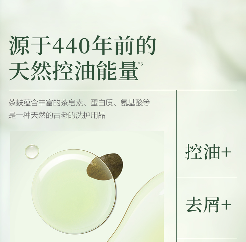阿道夫茶麸控油蓬松祛屑冰爽丝滑亮泽留香洗发水 Adolph Tea Bran Oil Control Anti-dandruff Cool ...