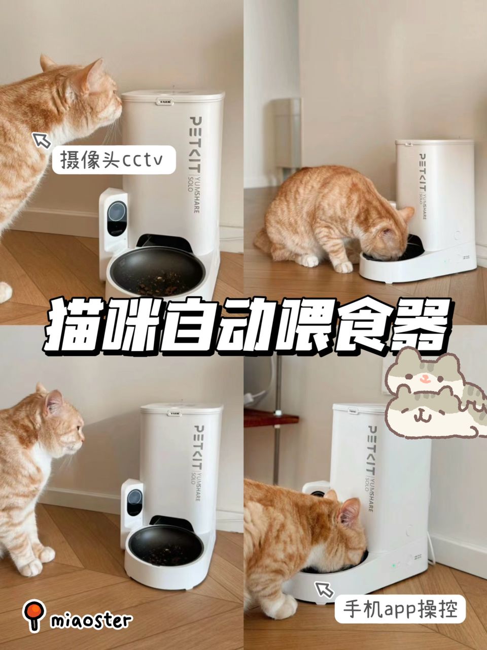 【KL/PJ】PETKIT Yumshare Solo with Camera Smart Pet Smart Feeder Connect ...