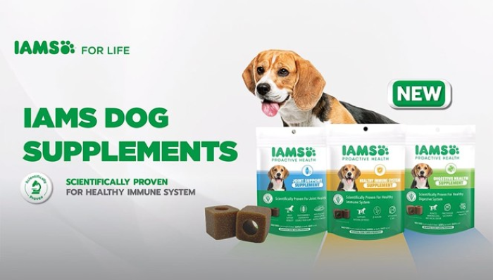 IAMS Proactive Health Supplements For Dogs 168g - (Digestive Health ...