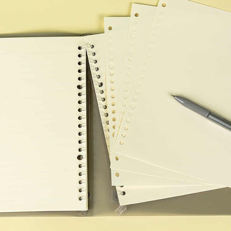 Deli Loose Leaf Binder Notebook Refill Paper A5/B5 (60's x 120 Pages ...