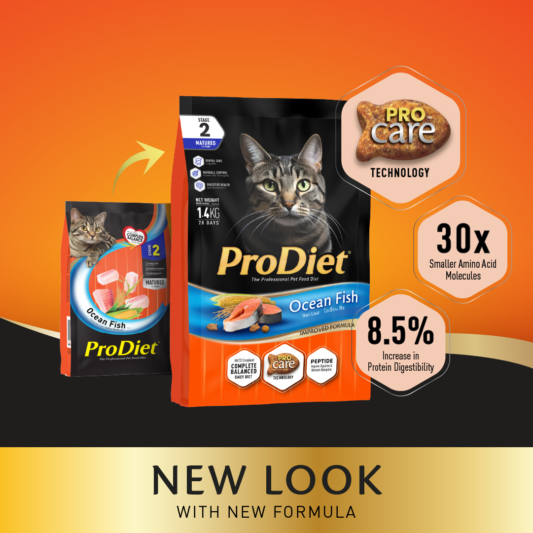 ProDiet Dry Cat Food Adult - Ocean Fish/Fresh Tuna/Mackerel/Gourmet ...