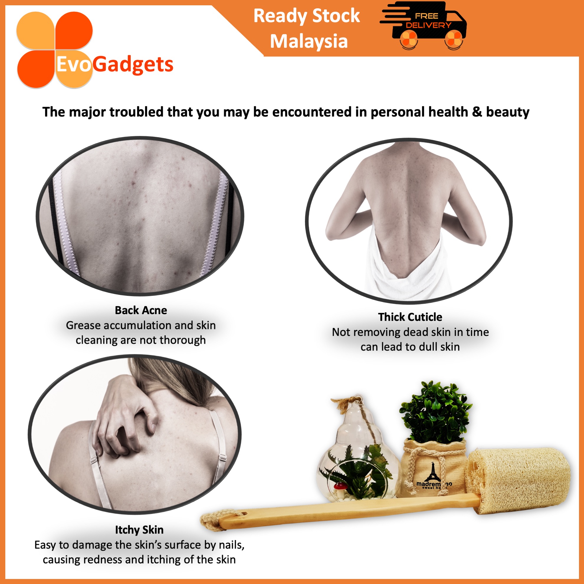 EvoGadgets Exfoliating Loofah / Luffa Shower Brush / Body Scrub / Scrub ...