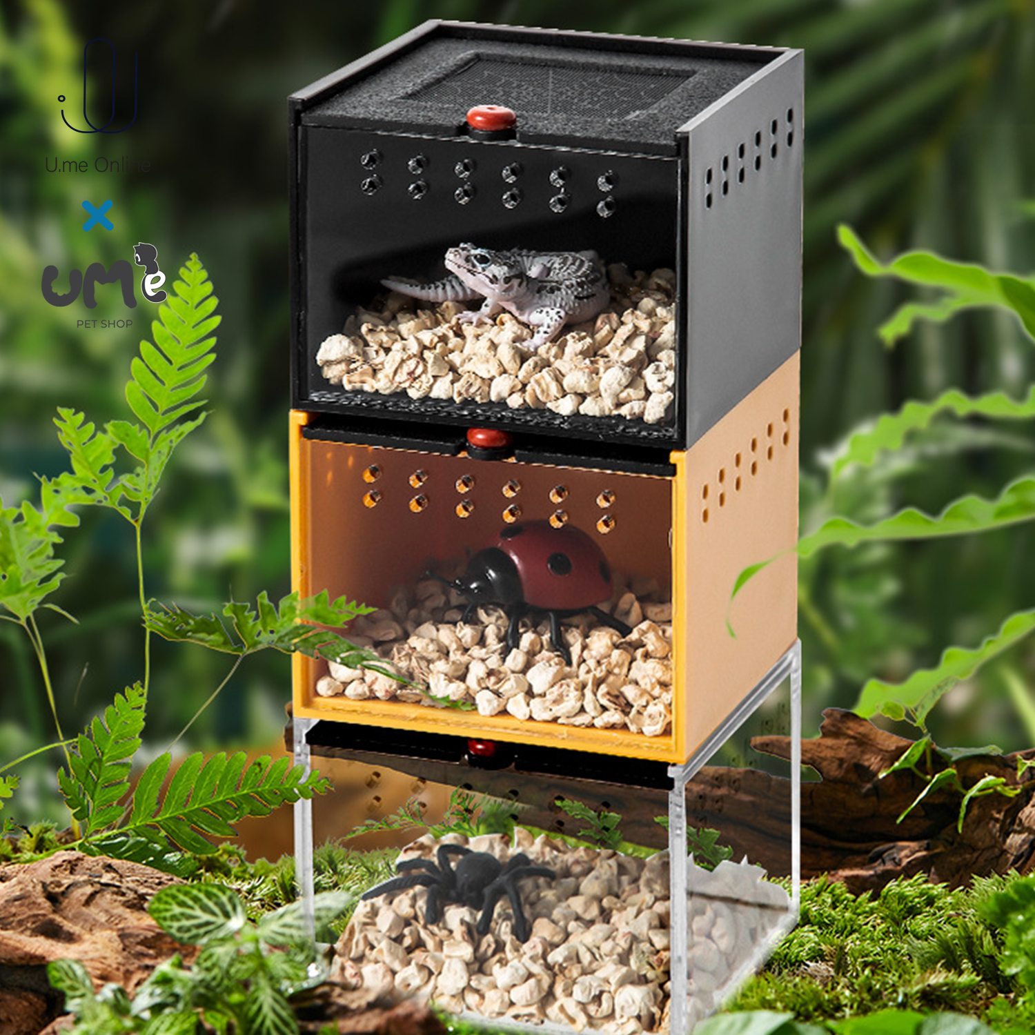 Ume Pet Insect Feeding Box Climbing Pet Spider Scorpion Beetle Insect ...