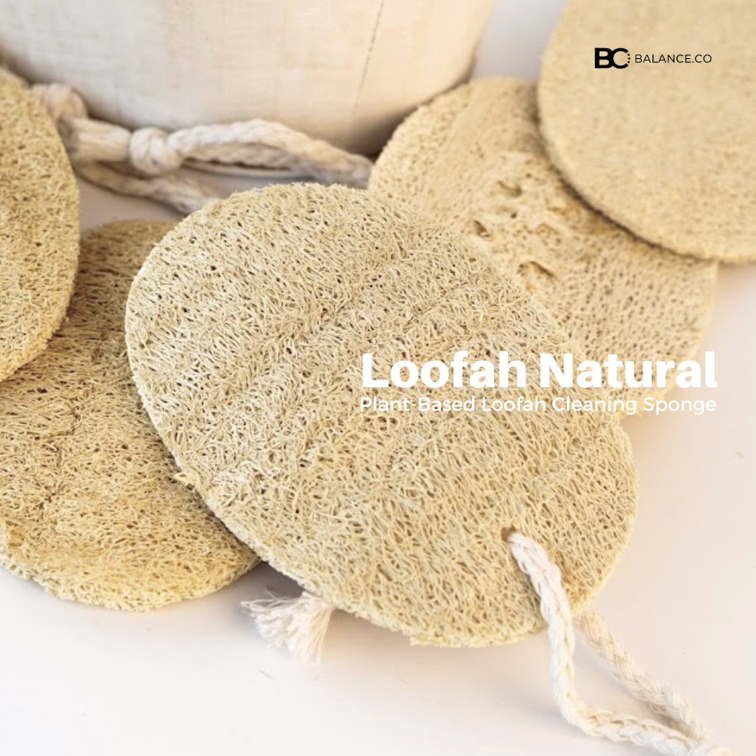 Natural Loofah Cleaning Sponge Dishwashing Hanging String Scouring Dish ...