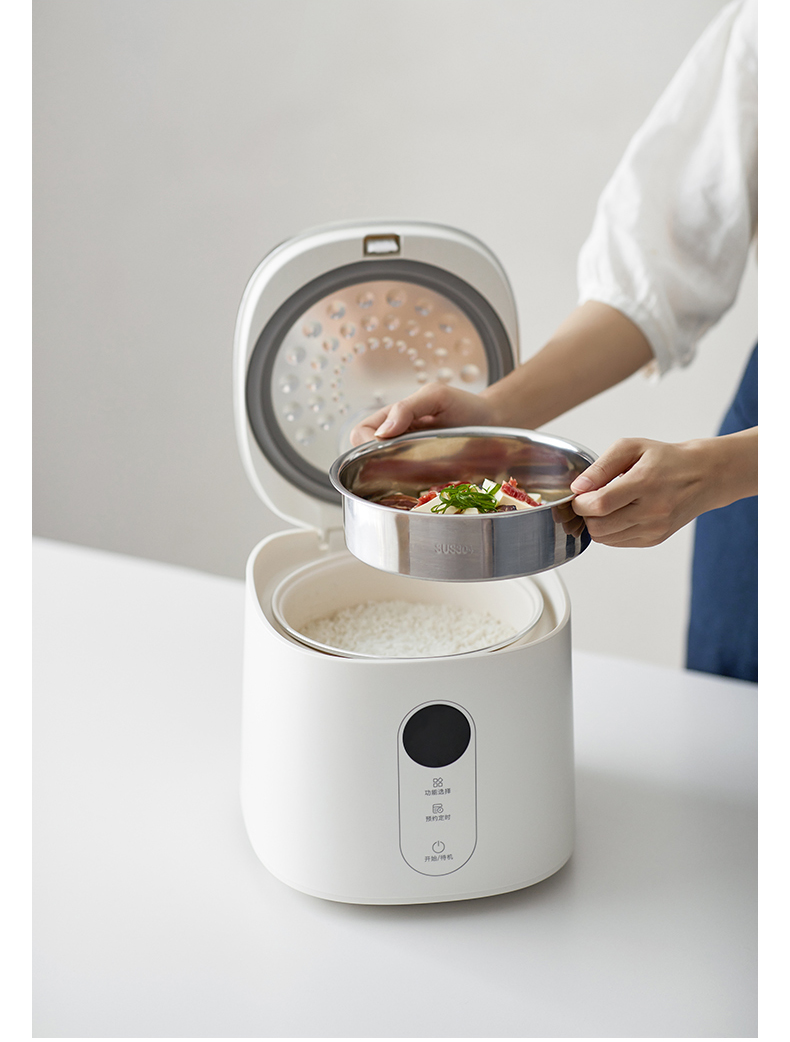 Olayks 3L Multifunction Electric Rice Cooker Smart Rice Cooker OLK-30I Inner Pot/ Steamer Tray ...