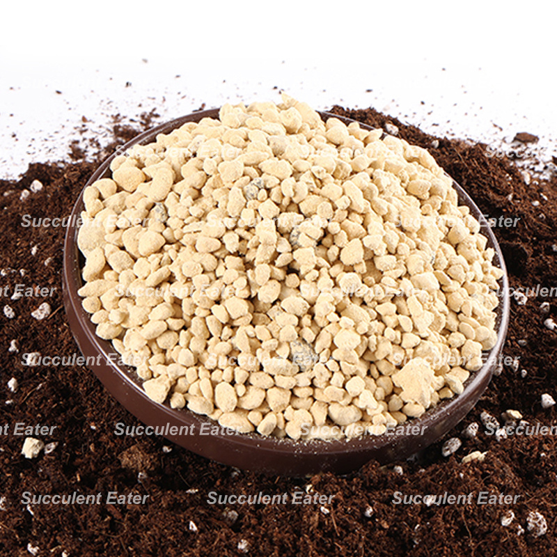 Satsuma Stone 1L Succulent and Cactus Media Orchid Soil 植金石 兰花多肉 ...