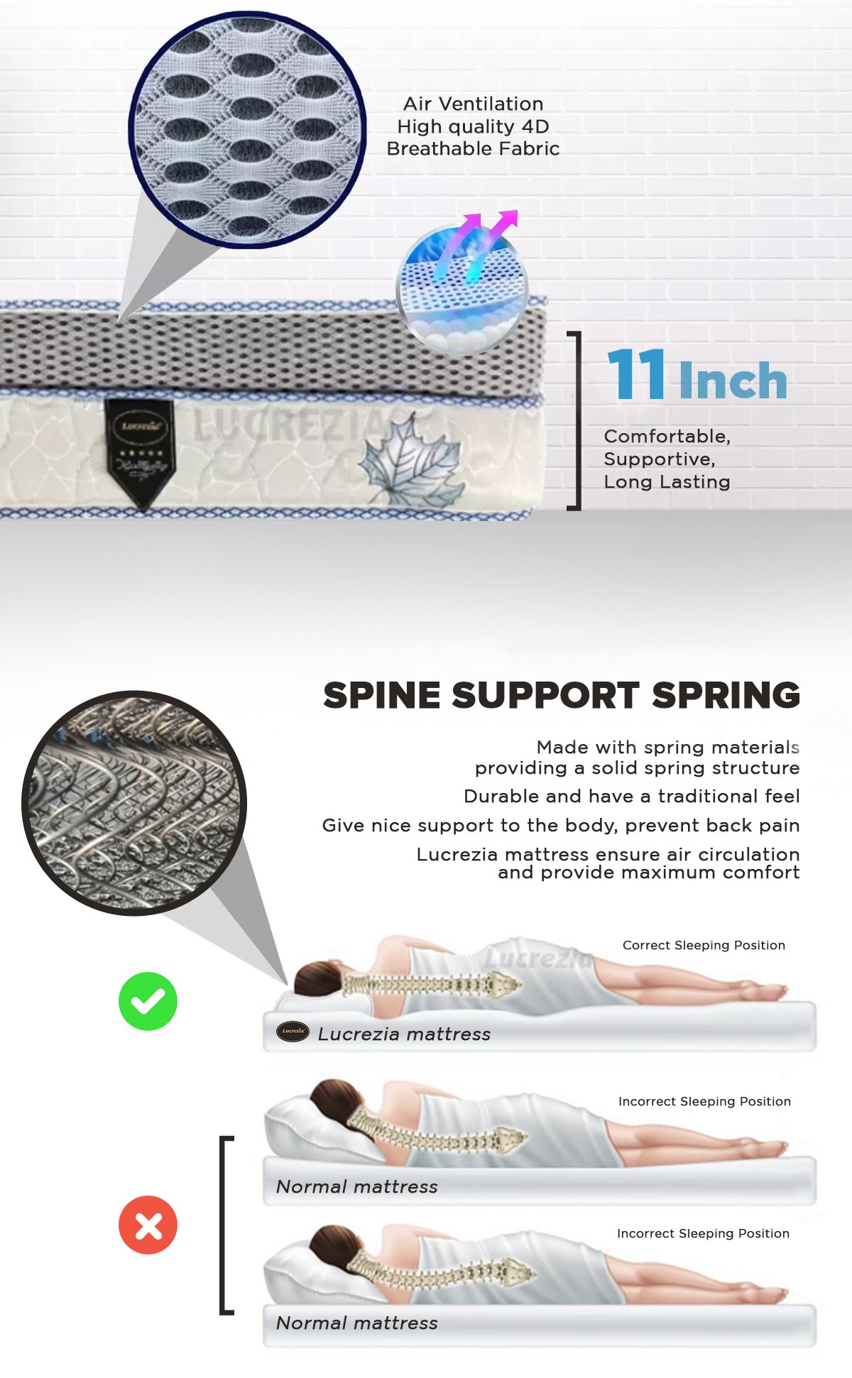 Free Shipping / Lucrezia Abruzzi (11 inch) Spine Support Spring ...