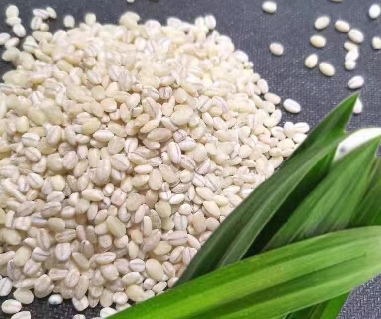 洋薏米（精选珍珠薏米）Pearl Barley Barli 500G | Shopee Malaysia