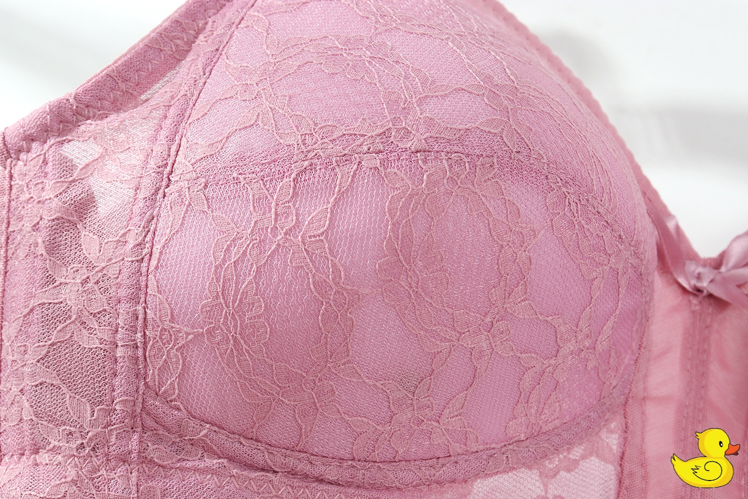 Women Bra Plus Size Non-wired Wireless Bra Thin Sponge BC Cup Lace ...