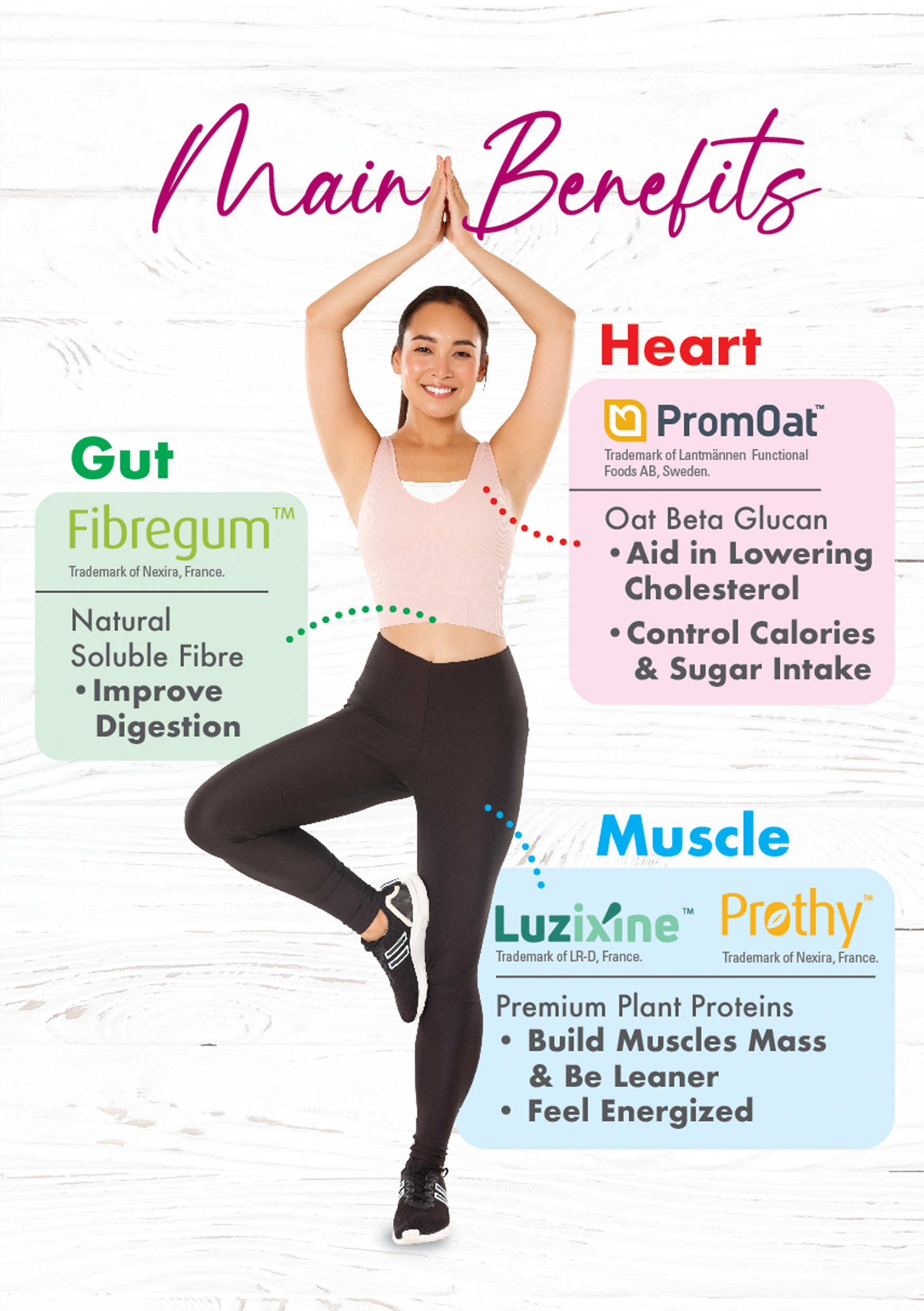 SpringHealth SleamMeals™ Rich Dark Chocolate (15‘S) | Shopee Malaysia