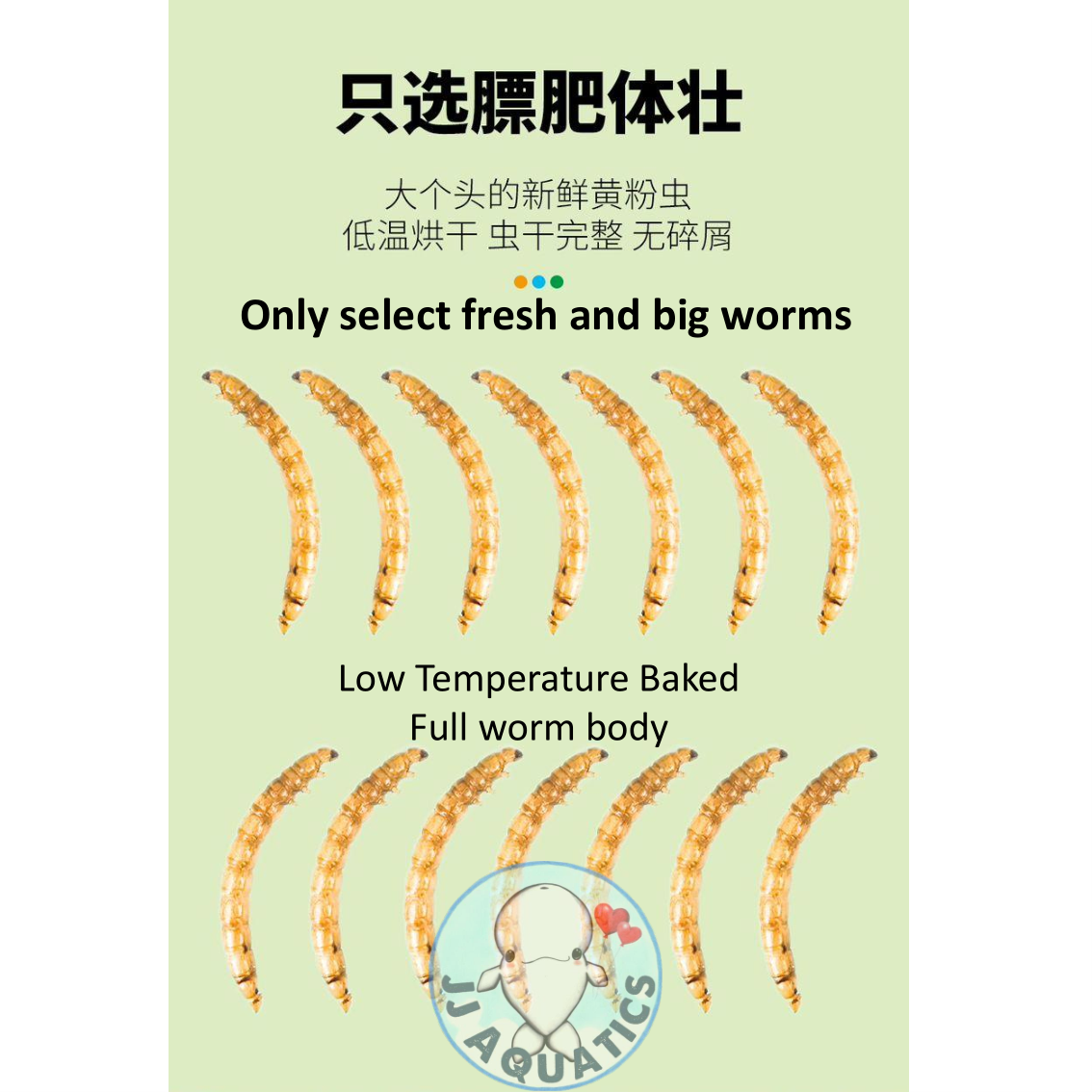 Jonsanty Dry Bread Worm Meal Worm Tenebrio Molitor Hamster Snack Food ...