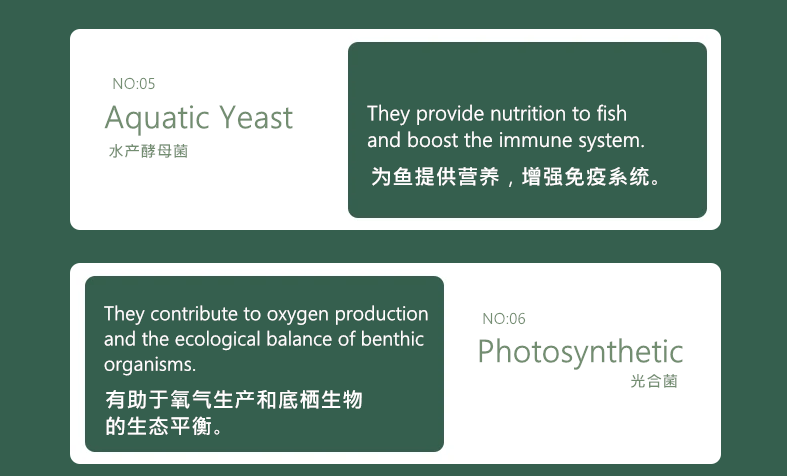 Qiuyu Nitrobacter Pro+ Concentrated Nitrobacteria/nitrifying 硝化菌 em菌 ...