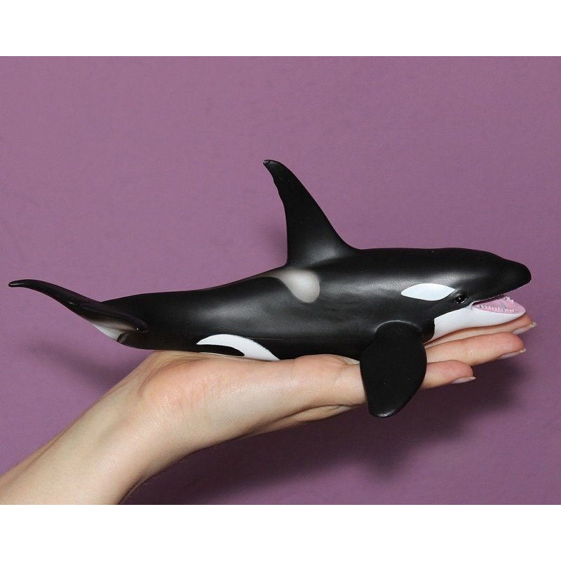 Orca (Killer Whale) - CollectA 88043 Sea Life Animal Action Figures ...