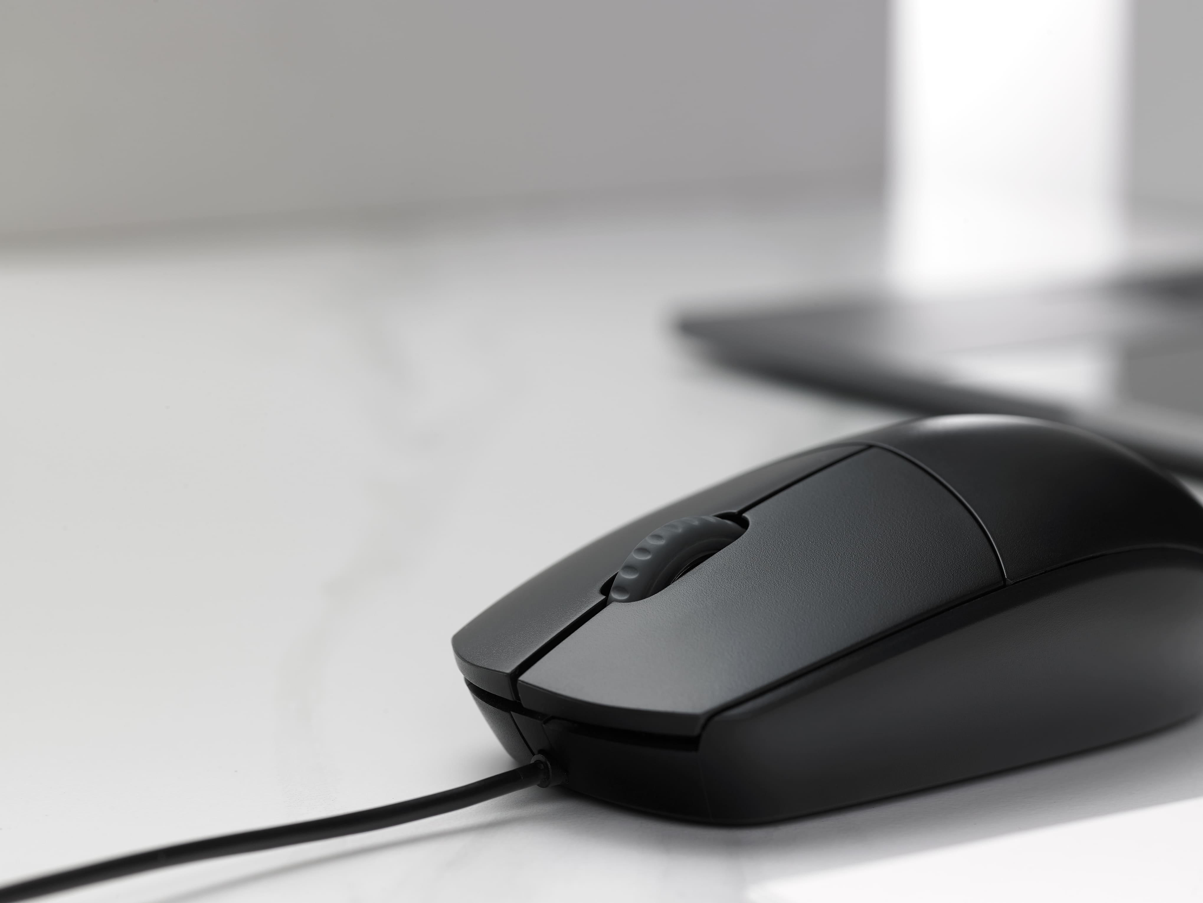 Rapoo N100C Type-C Wired Optical 1000 DPI Mouse - 3 Years Warranty ...