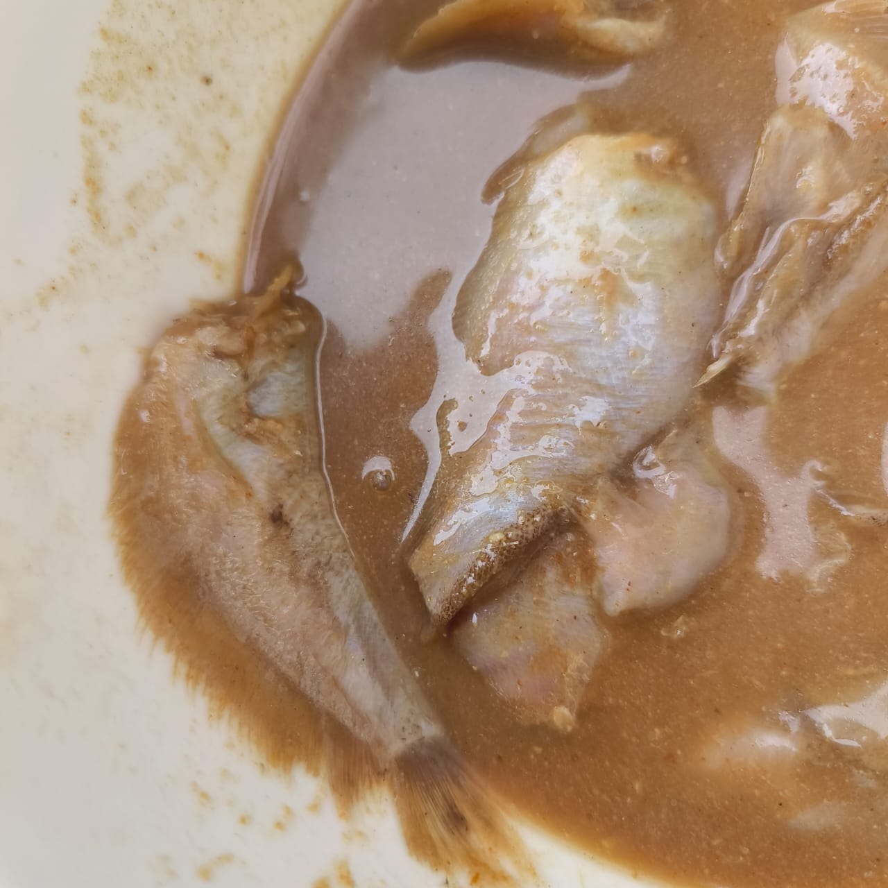 Thailand Bong Nua Pickled Fish 900g Pickled Anchovies Fish Bong Nua Mae ...