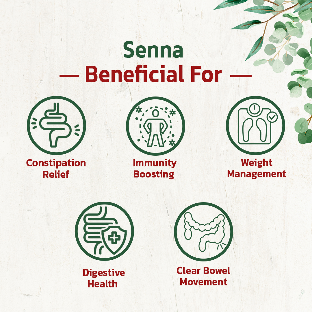 100% PURE NATURAL SENNA (SENA) LEAVE POWDER 90 GMS (Nilavarai, Teh ...