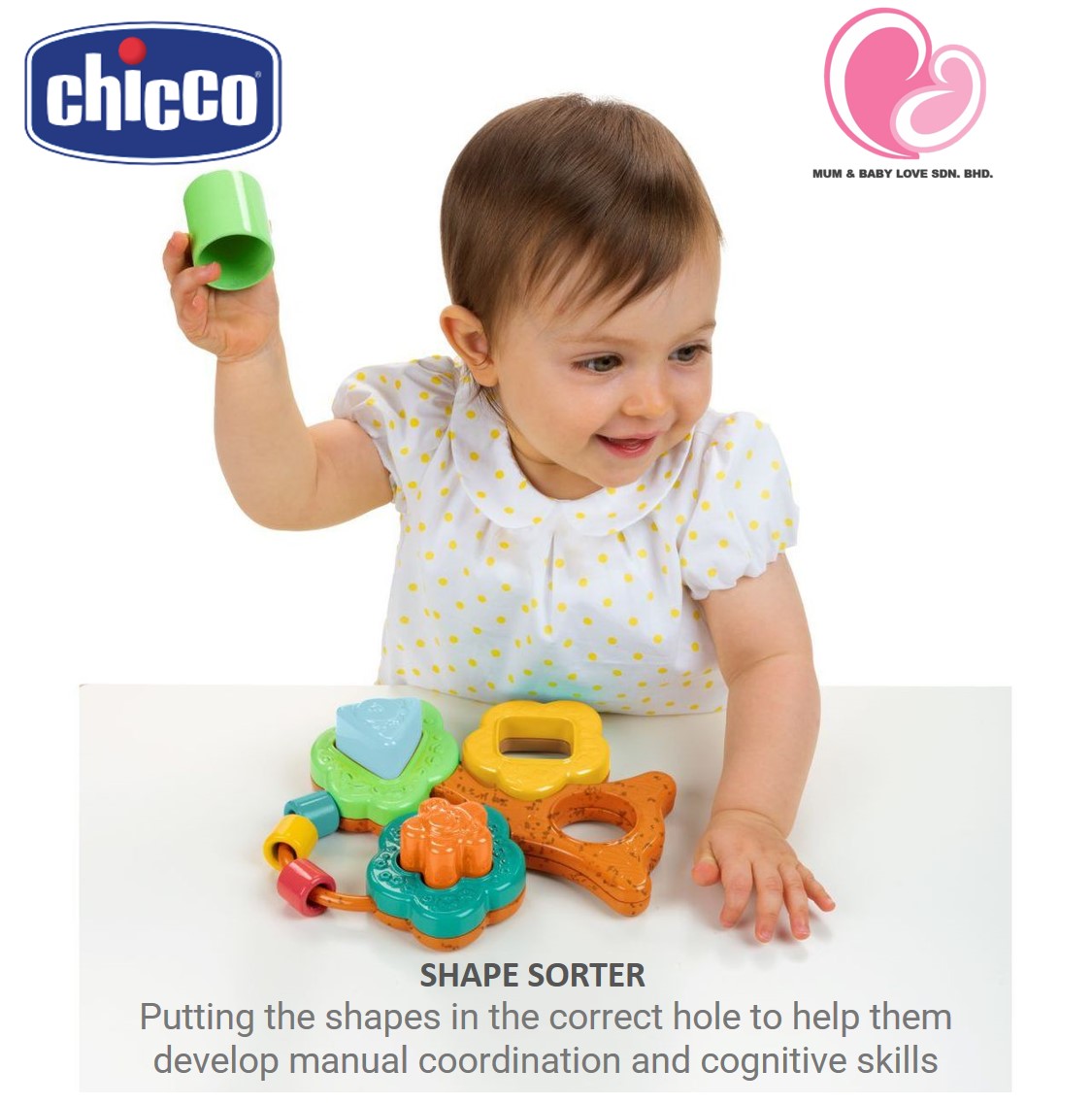 Chicco Eco+ 2 in 1 Stacking Cups / Baobab Shape Sorter (6-36 months ...