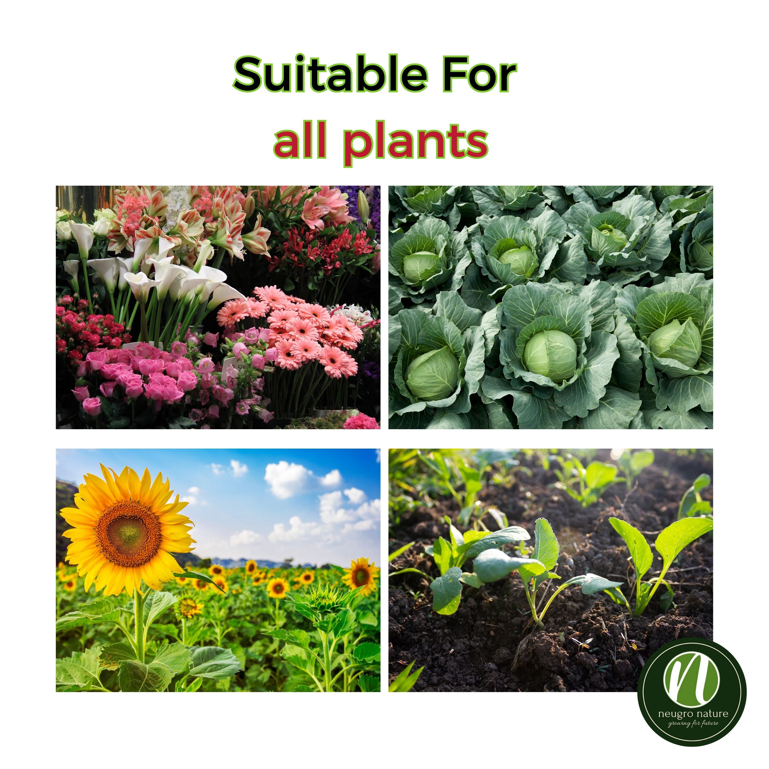 Neugro 10g Organic Fungicide Home Garden Plant Racun Kulat Bunga ...