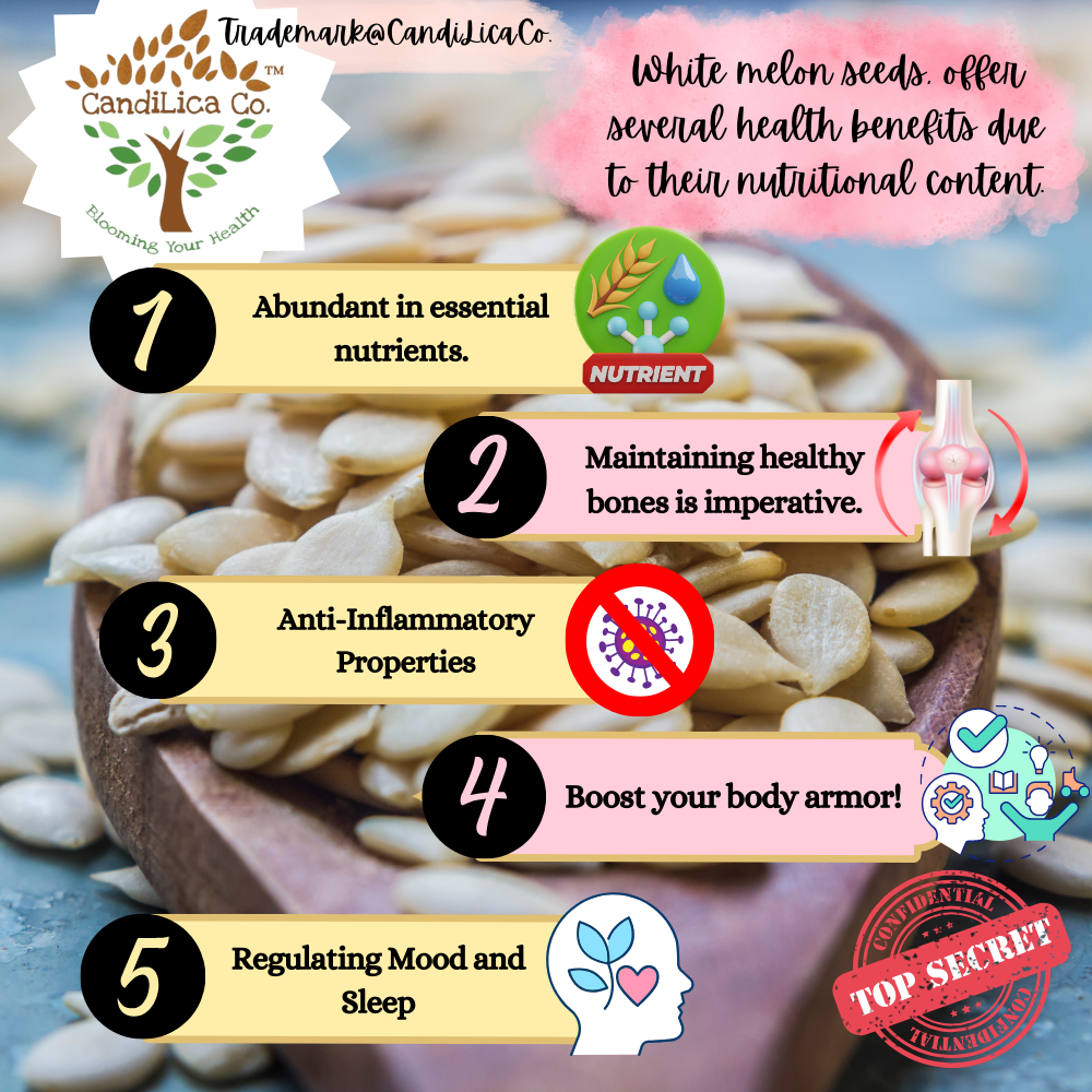 CandiLica Co. Premium Imported White Melon Seeds / Biji Kuaci Melon ...