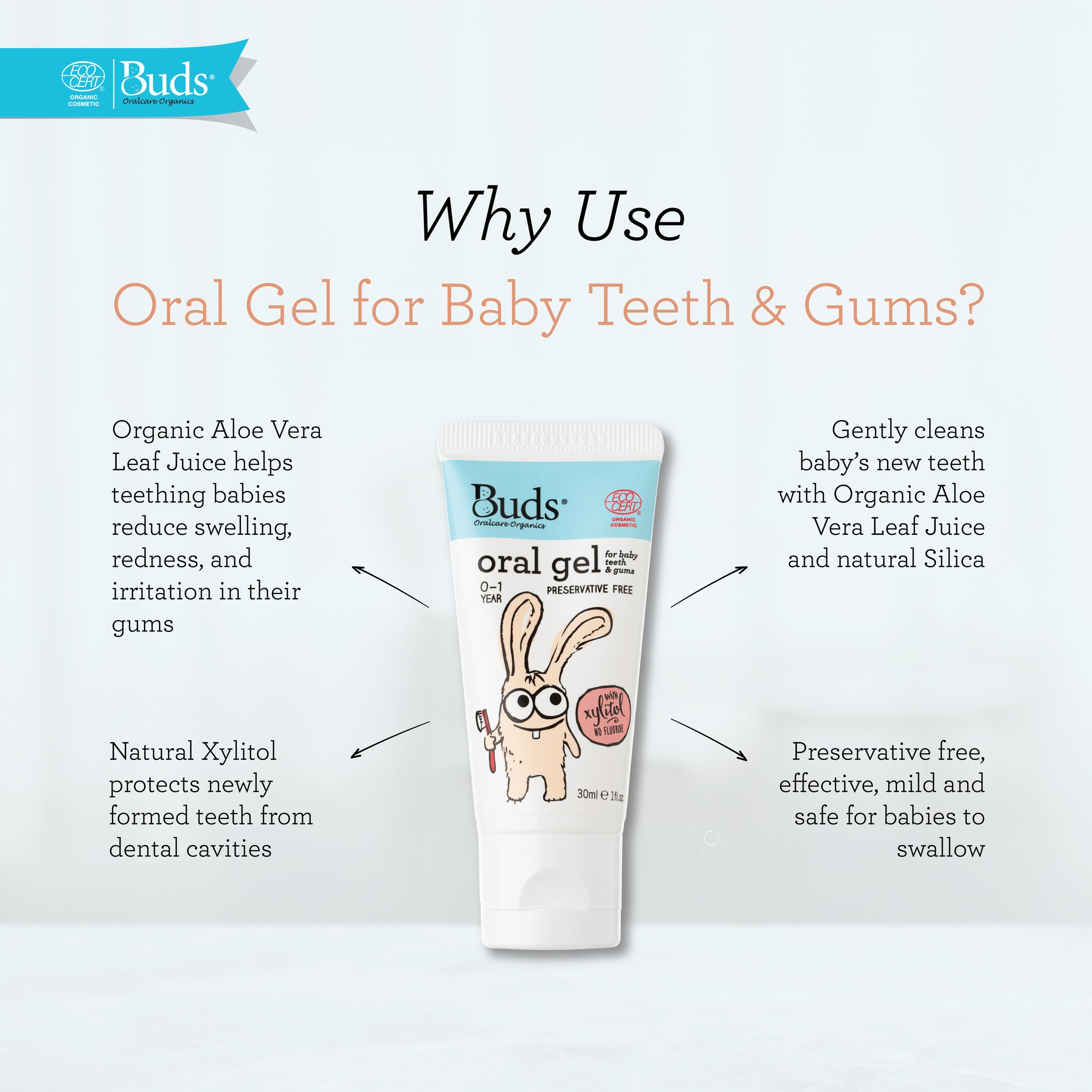 Buds Oral Gel / Children's Toothpaste Xylitol or Fluoride 50ml / Kids ...
