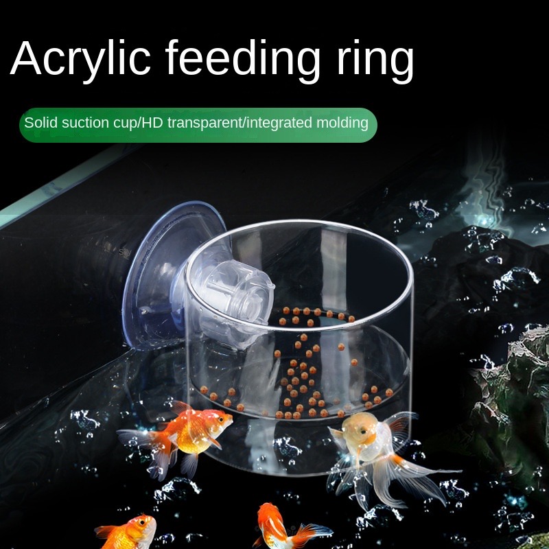 Aquarium Fish Feeding Crystal Circle Acrylic Feeding Ring Trumpet ...