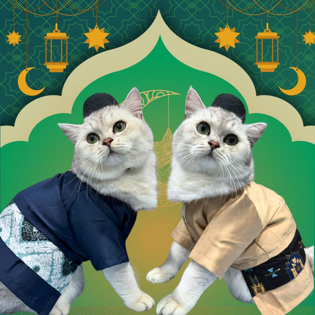 GUN PET Baju Raya Melayu Kucing Songkok Baju Kurung Baju Melayu Cat Toy ...