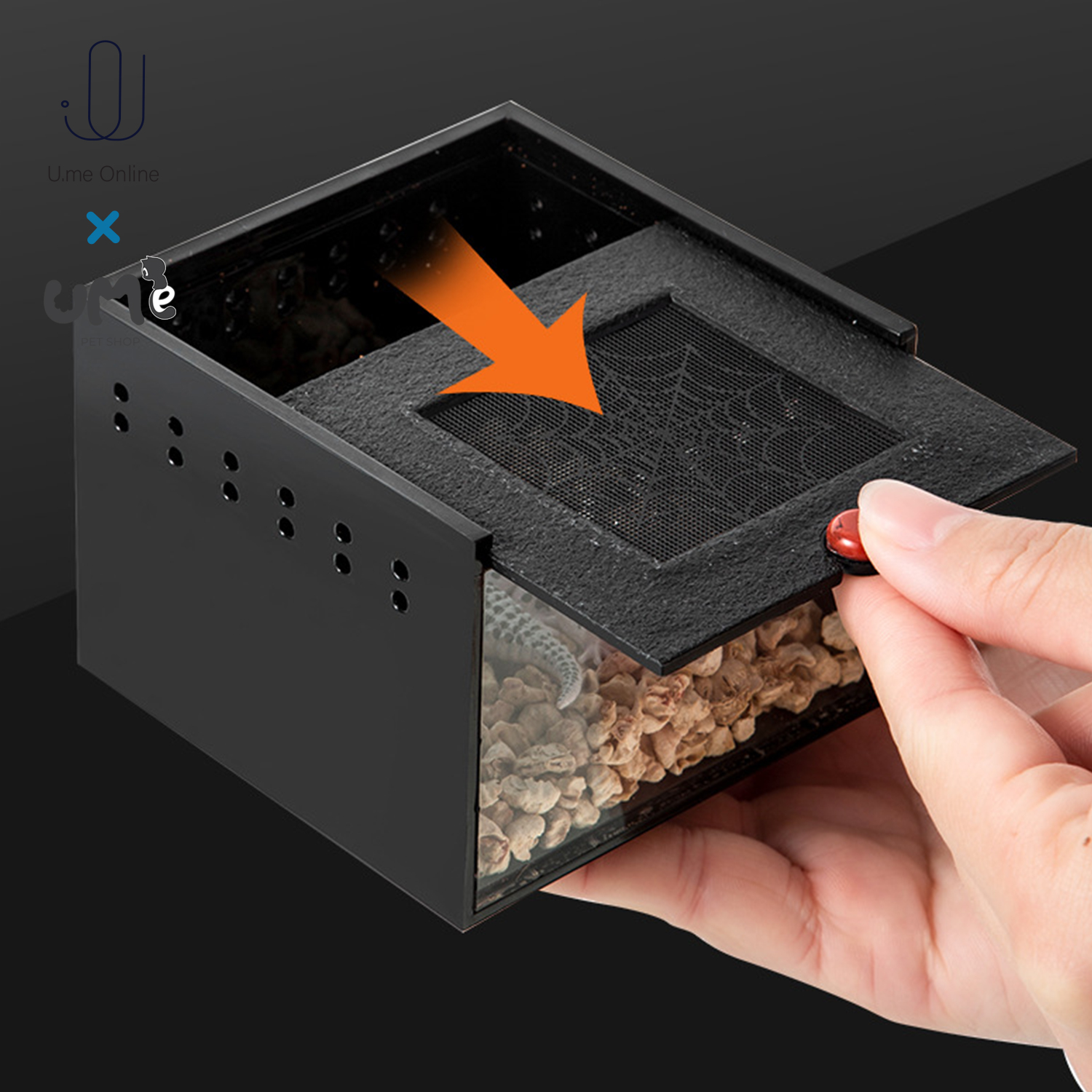 Ume Pet Insect Feeding Box Climbing Pet Spider Scorpion Beetle Insect ...
