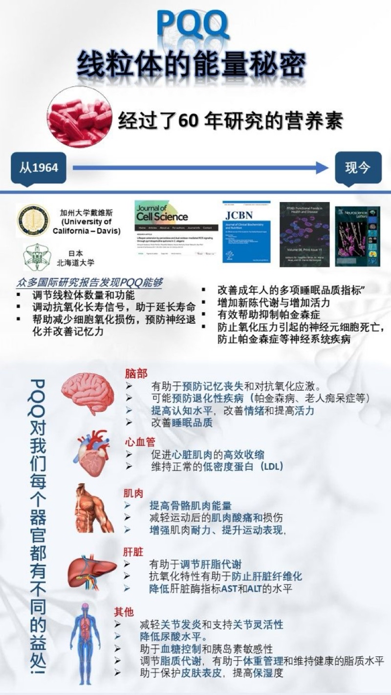 ️Ready Stock ️Return Legacy PQQ plus (with Choline) Halal 中风_提高注意力 ...