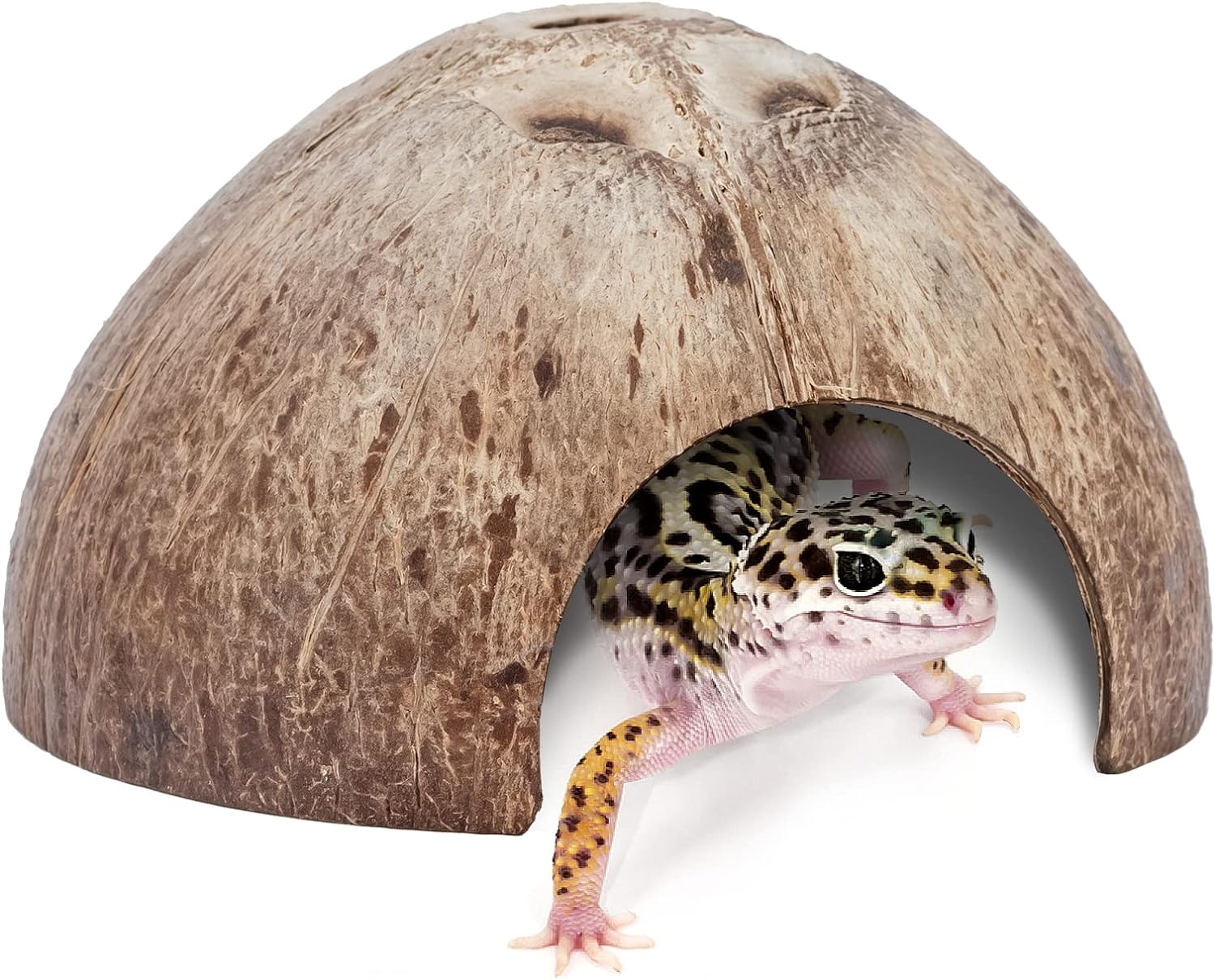 Reptile Hide Cave tortoise cave gecko hideout lizard hiding cave ...