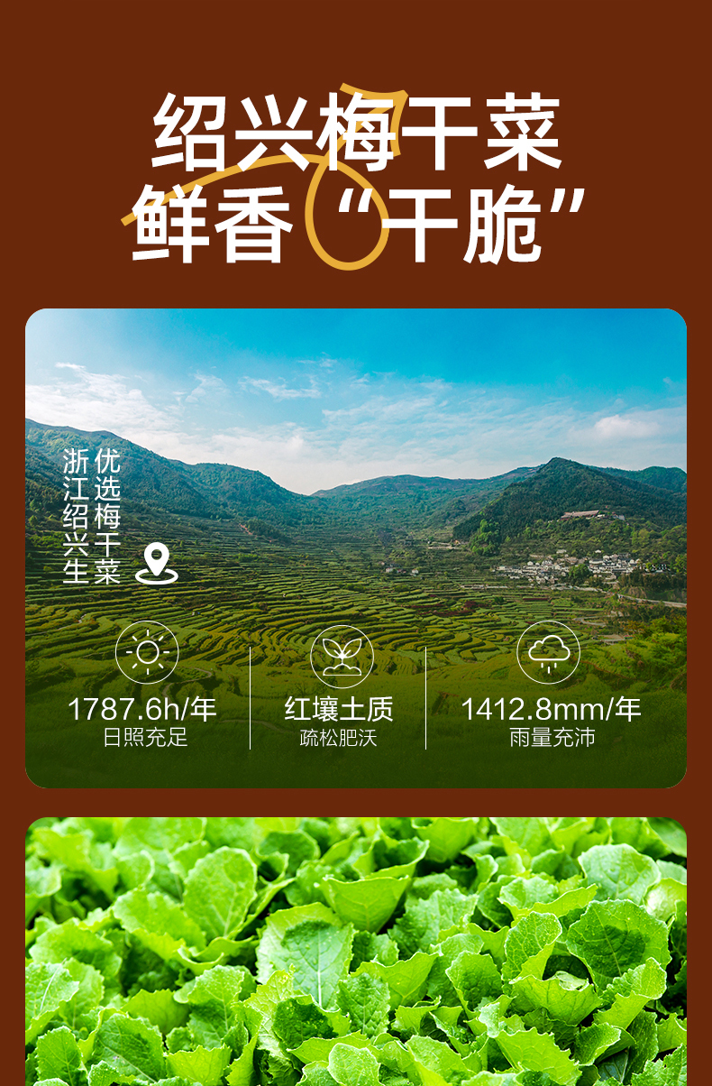 Bestore Dried Vegetable Cookies 梅干菜饼干 (160g/Pack x 13 Pcs) | Shopee ...