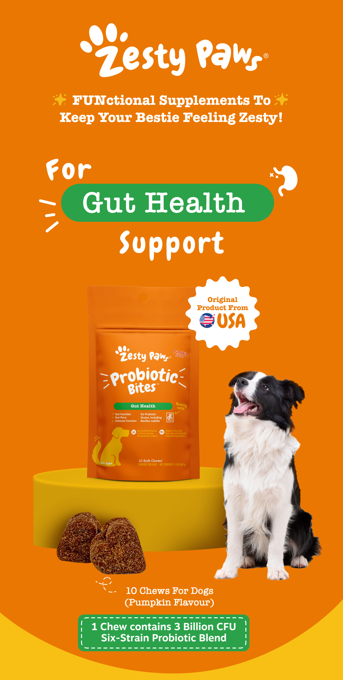 Zesty Paws Probiotic Bites for Dogs Gut Health [Pumpkin Flavor] (10/20 ...