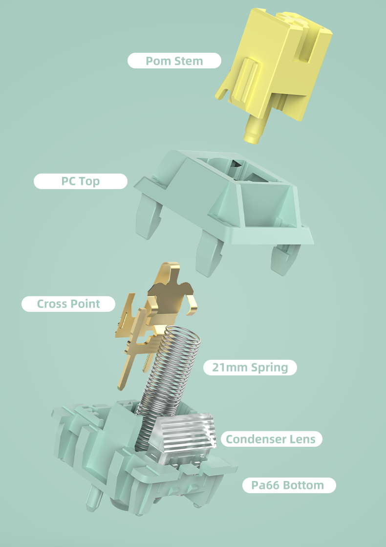 Bsun Sea Salt V2 Tactile Switch | Shopee Malaysia