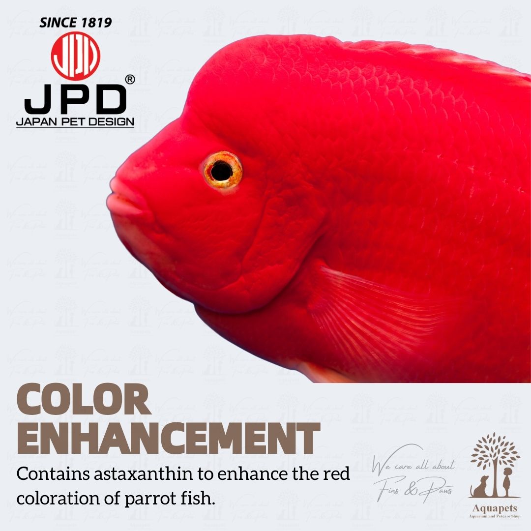 JPD Kangun Parrot Fish Food 100g / 500g Makanan Ikan Parrot Fish Red ...
