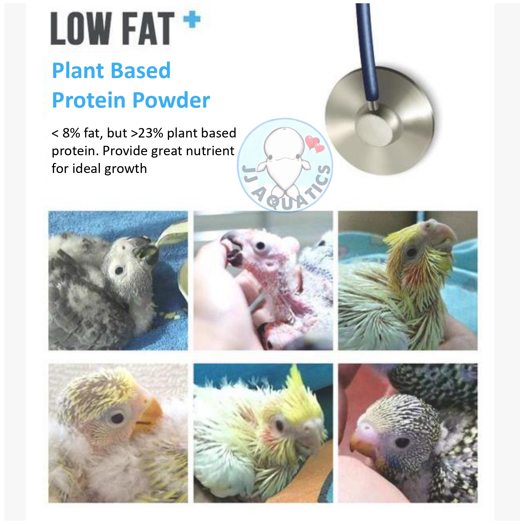 Jonsanty Godzilla Low Fat Plant Based Milk Powder Parrot Birds Susu ...