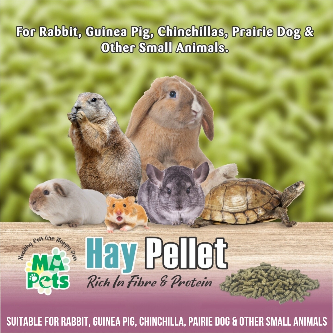 Bengy COA Rabbit Feeds MA Pets Rabbit food Pellet Hamster Gerbil Muesli ...
