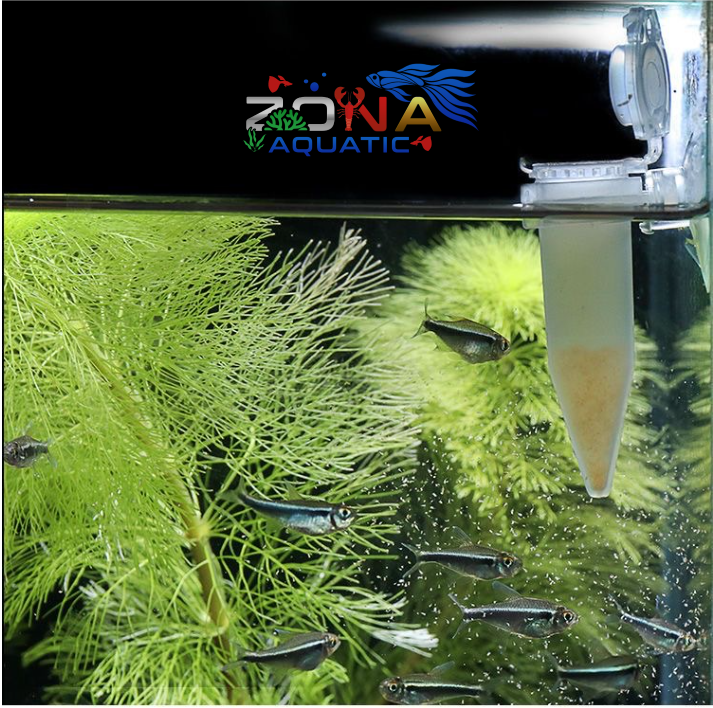 READY STOCK | BBS FEEDER | BRINE SHRIMP FEEDER | WITH SUCTION CUP ...