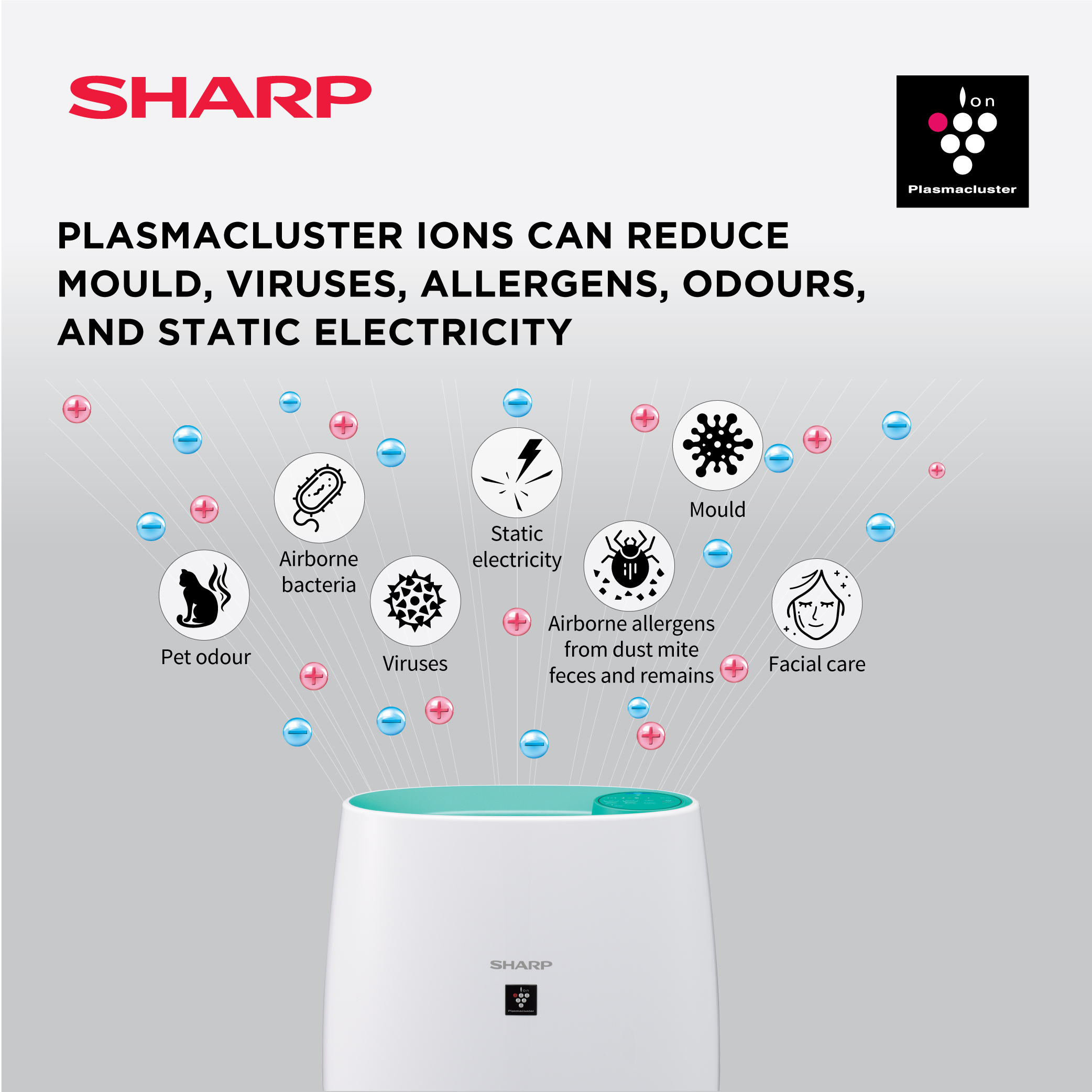 【WITH HEPA FILTER】Sharp 23m² Plasmacluster Ion Air Purifier FPJ30LB ...