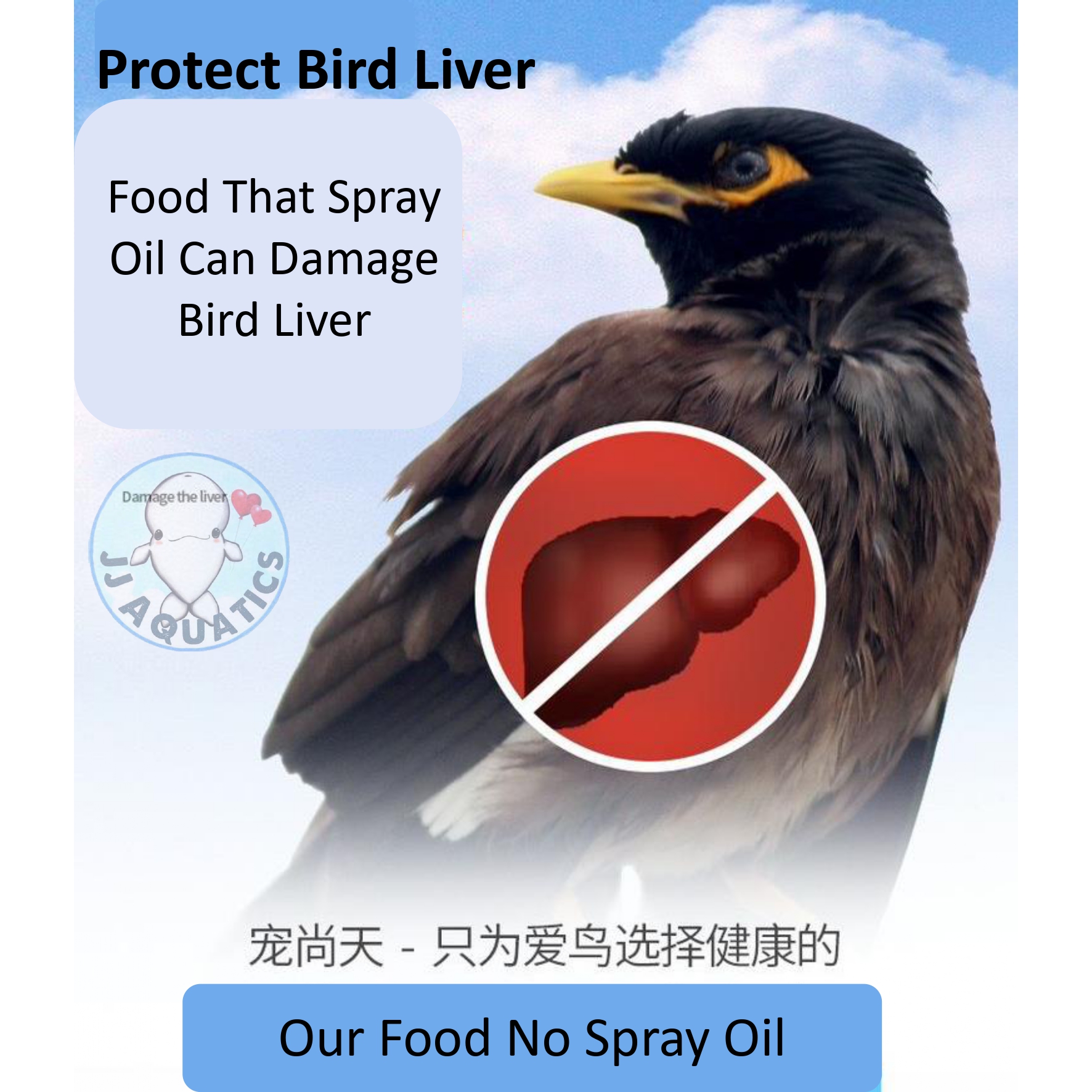 🔥Ready Stock🔥Jonsanty Luxury Premium Bird Food Common Hill Myna Crested ...