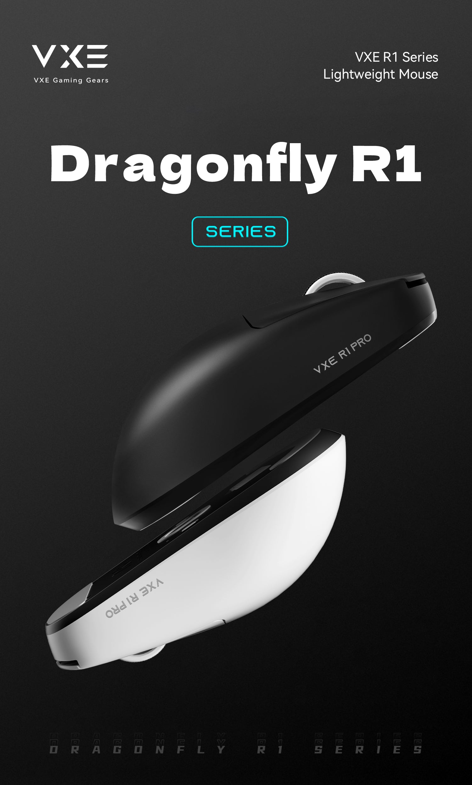 VXE Dragonfly R1 Series Wireless Gaming Mouse with PAW3395 Sensor R1 SE ...