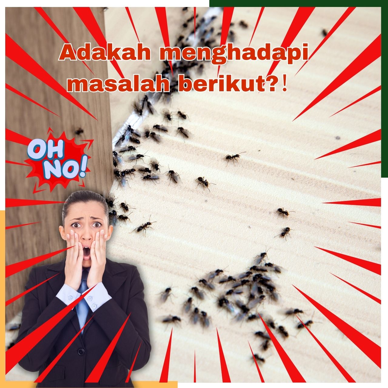 Ubat Semut | Ant Killer | Ubat Semut Berkesan | Eco Friendly Gel Bait ...