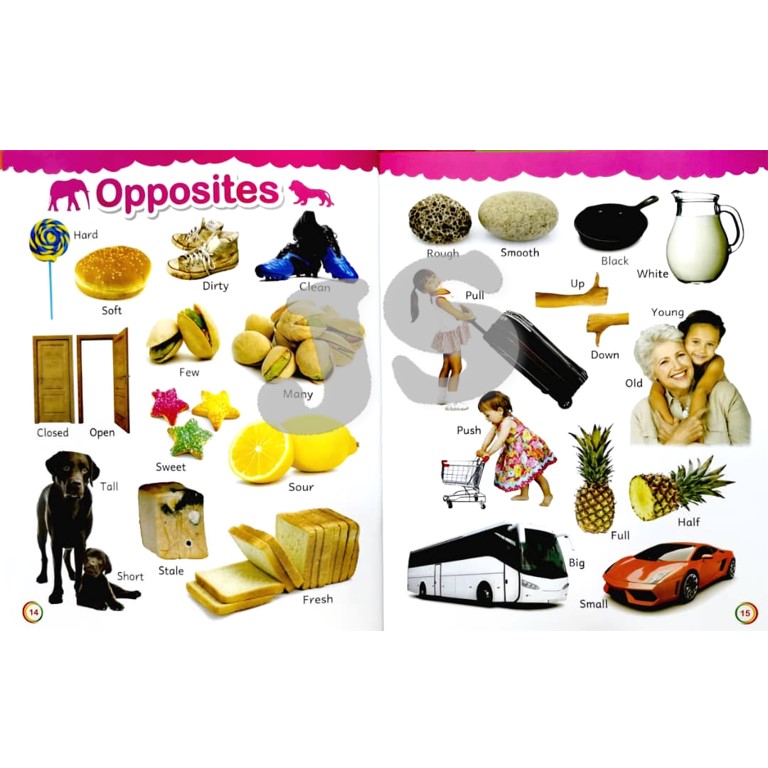 MY FIRST 1000 WORDS HARD COVER LEARNING CHILD'S VOCABULARY - MIND TO MIND | Shopee Malaysia